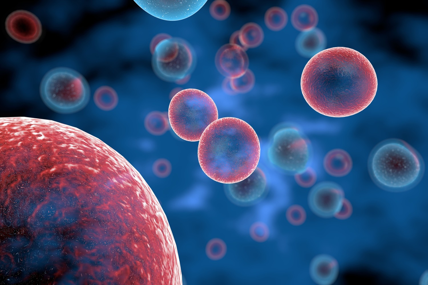 Benefit-driven pricing: How AMNOG strikes a balance between the ...